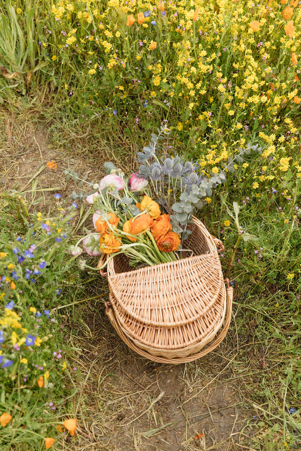 A Romantic Adventure: Picnic Engagement Photos